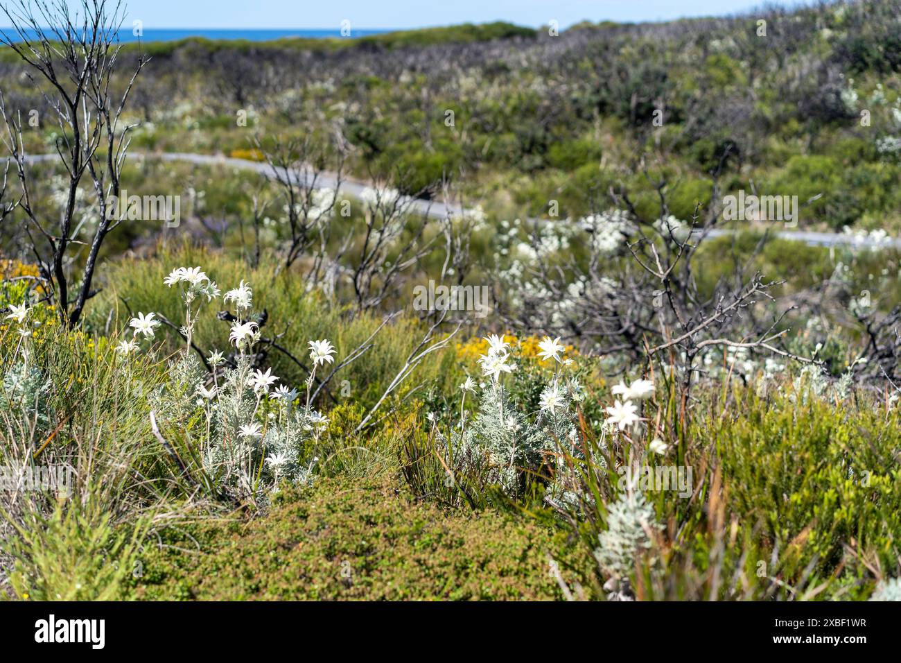 Seaside coastal hiking trail hi-res stock photography and images - Alamy