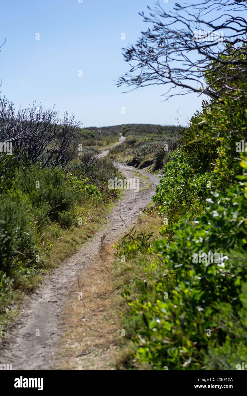 Seaside coastal hiking trail hi-res stock photography and images - Alamy