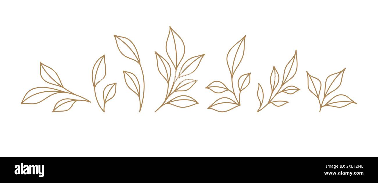 Set monochrome simple leaves botanical branches with stem and foliage ...