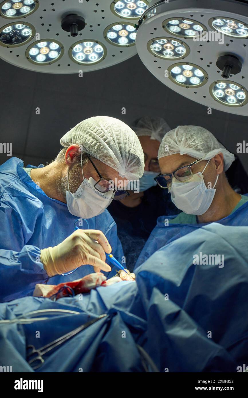 Surgical Team Performing a Procedure in an Operating Room Stock Photo ...