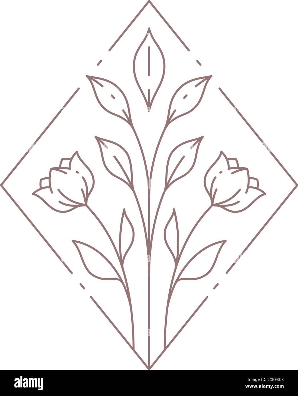 Simple linear botanical flowers with stem, buds and leaves at rhombus ...