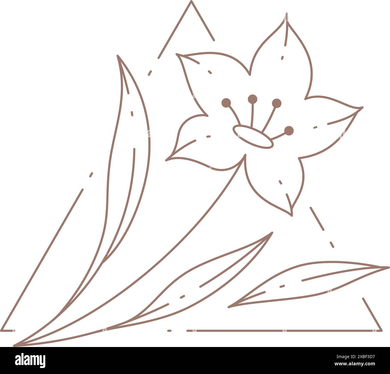 Simple romantic linear natural flower with petals, stem and leaves ...