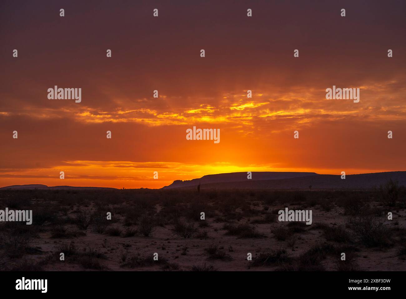 bright orange sky just before dawn in desert of Namibia Stock Photo - Alamy