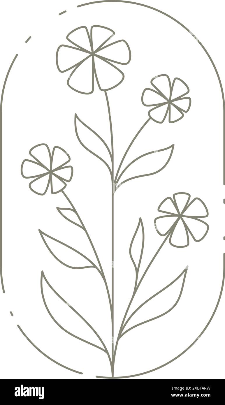 Flower chamomile line hand Stock Vector Images - Alamy
