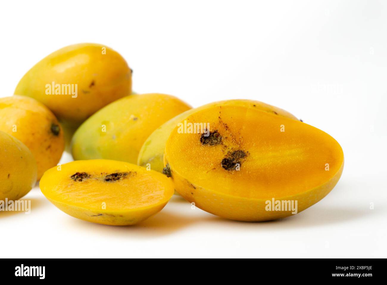 ripe juicy mangoes are infected by fruit beetles pest, isolated on ...