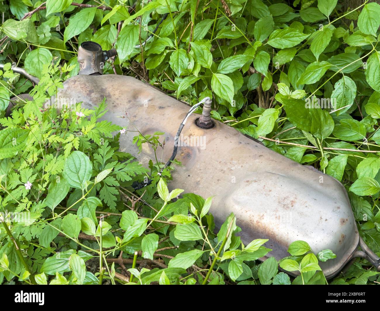 Old exhaust muffler disposed of as hazardous waste in the forest in ...