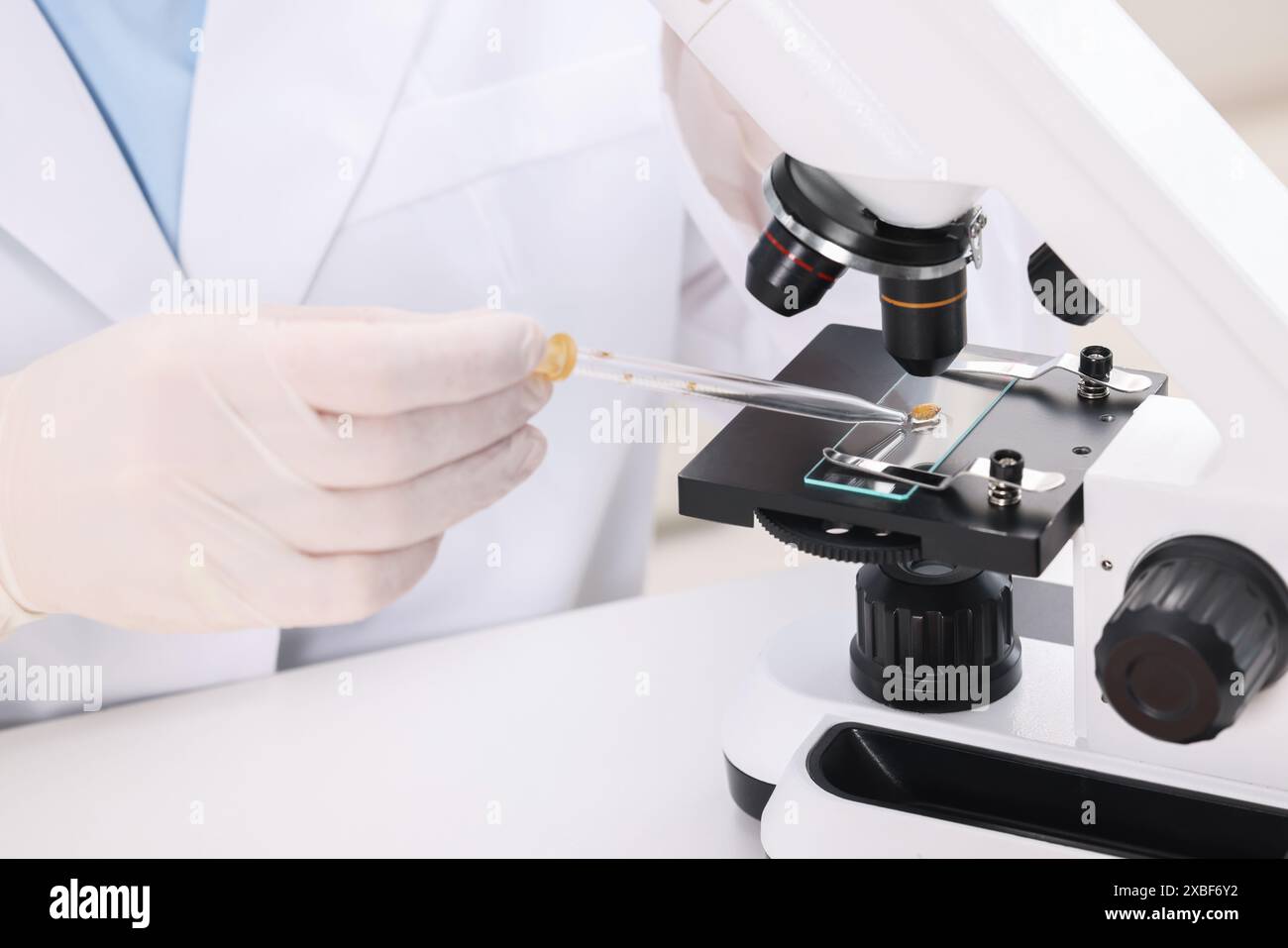 Quality control. Food inspector examining wheat grain under microscope ...