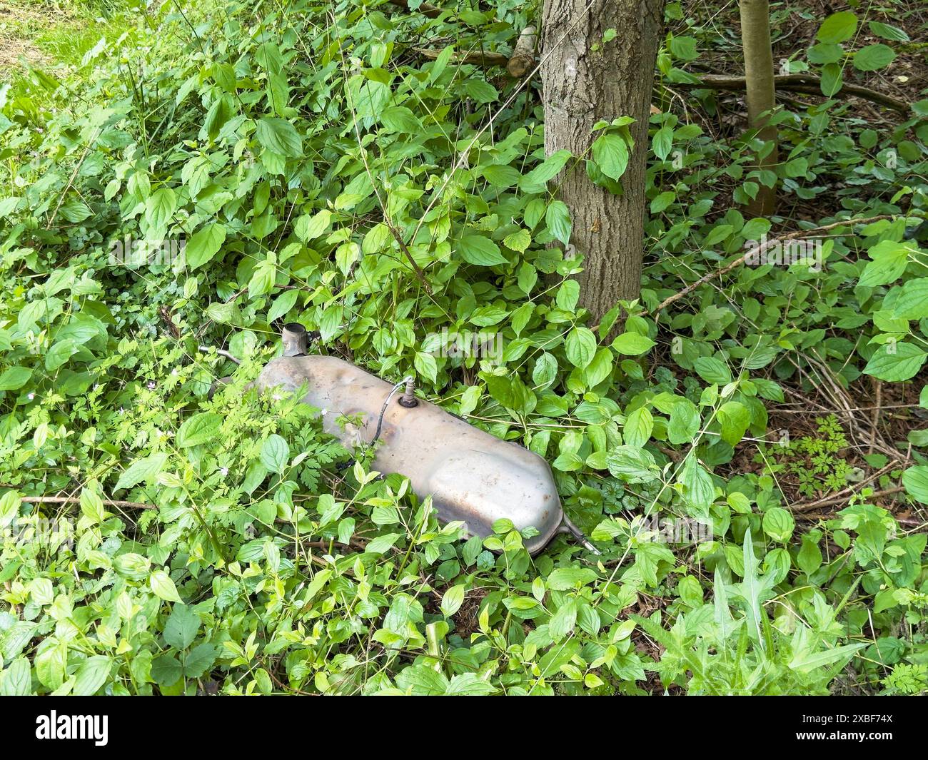 Old exhaust muffler disposed of as hazardous waste in the forest in ...