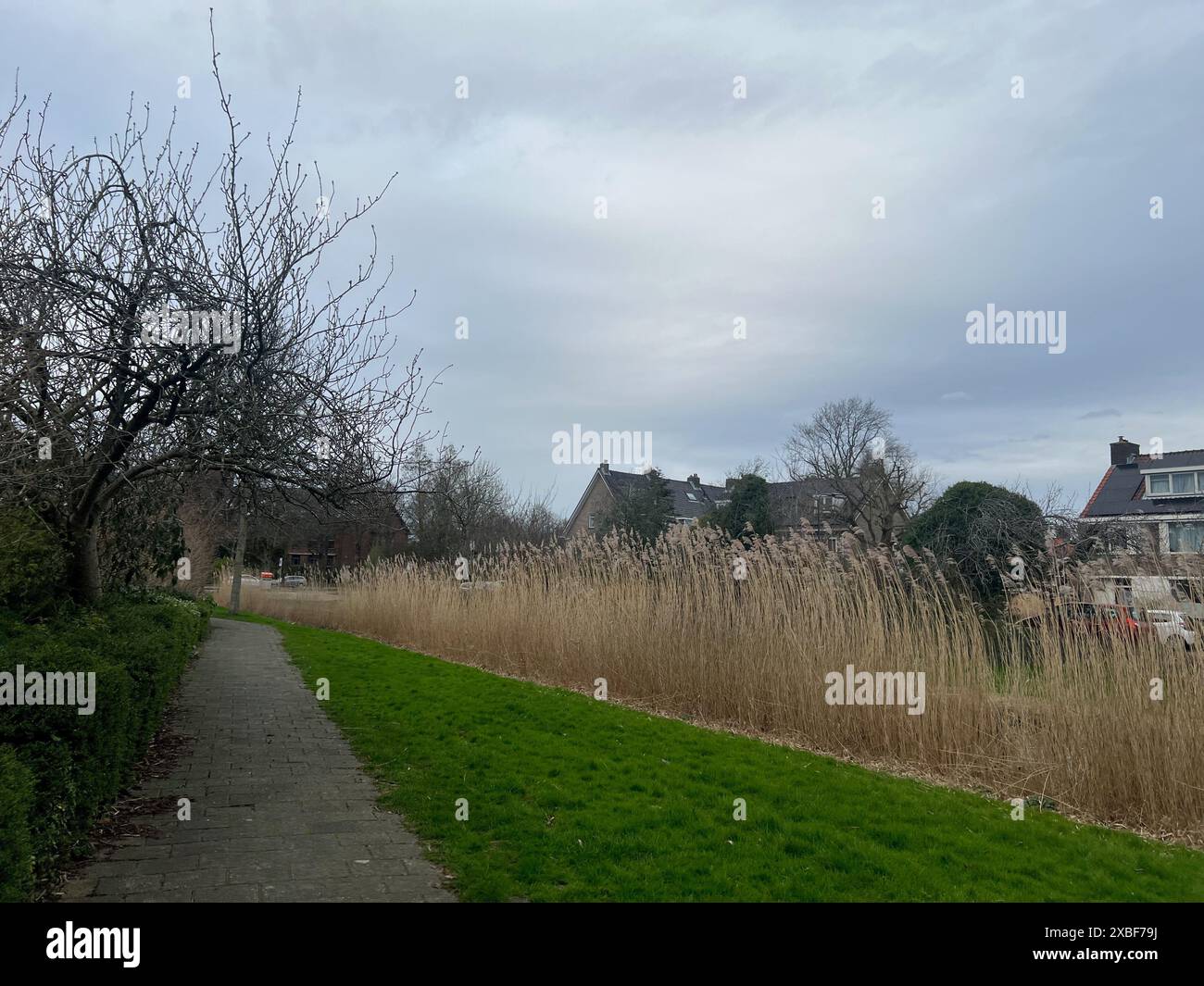 View of pathway near lake in park Stock Photo - Alamy