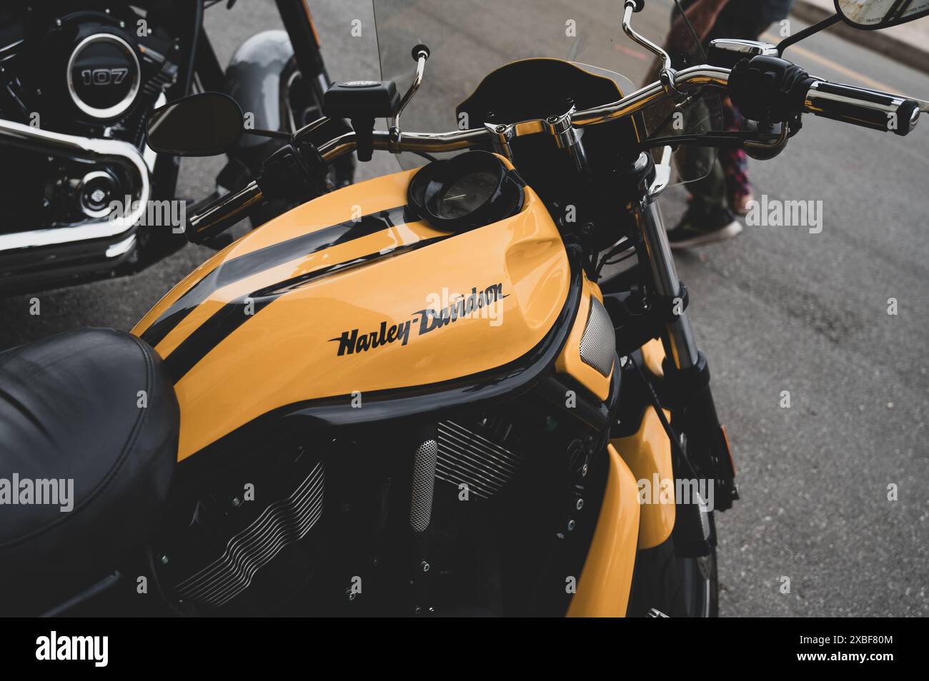 Italy, 09 June 2024: motorcycles of the legendary Harley Davidson brand ...
