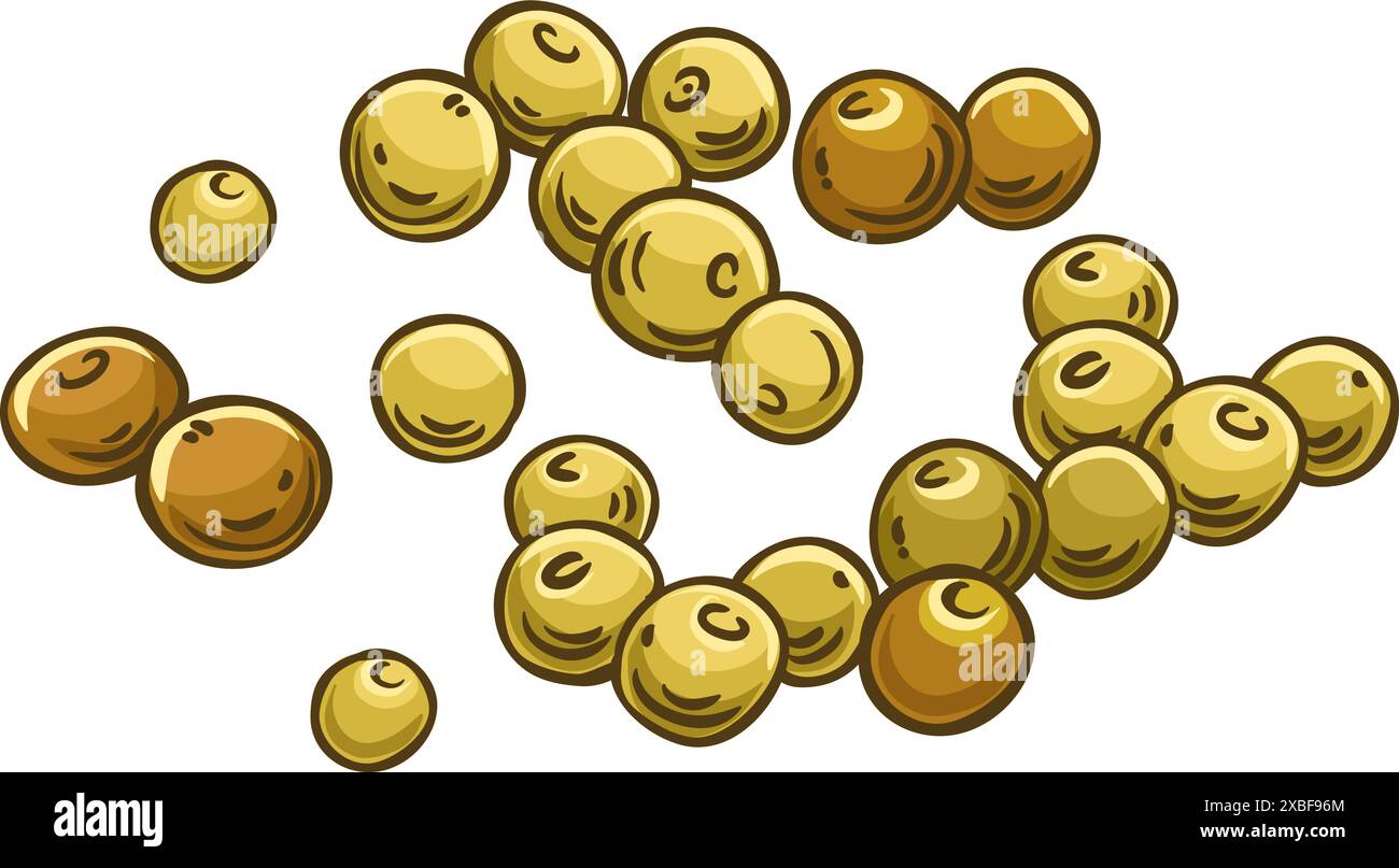 Mustard Seeds Colored Detailed Illustration Stock Vector Image & Art ...