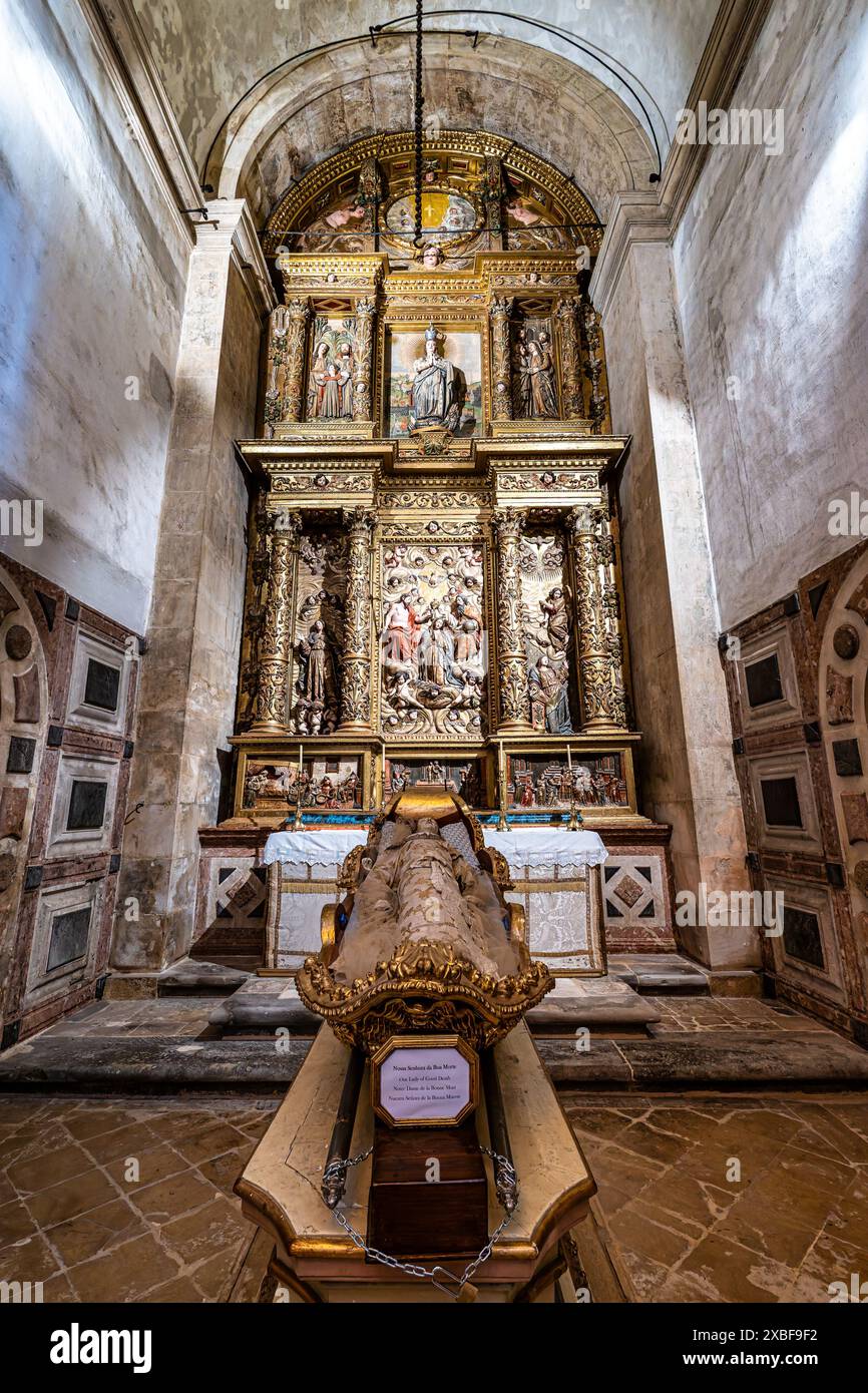 Interior of the New Cathedral of Coimbra, Se Nova de Coimbra in ...