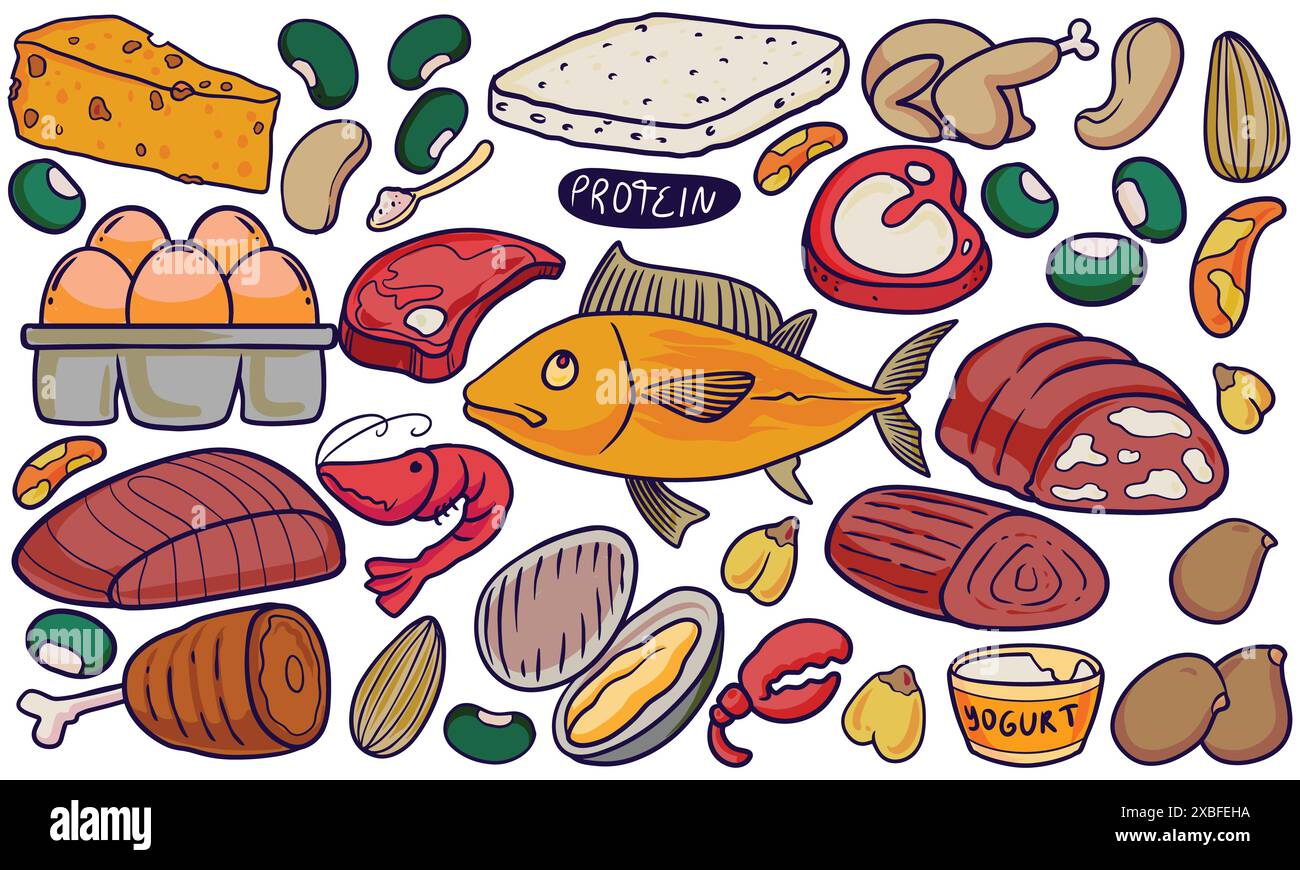 Colorful Hand drawn doodle food healthy vector diet menu organic ...