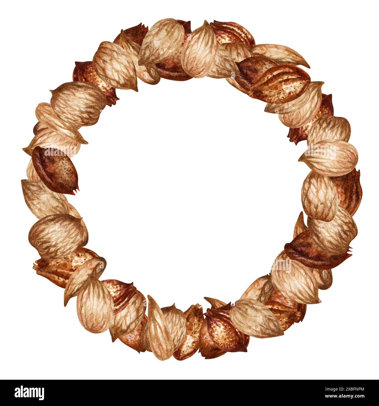Round frame of apricot kernels and seeds. Watercolor illustration for ...