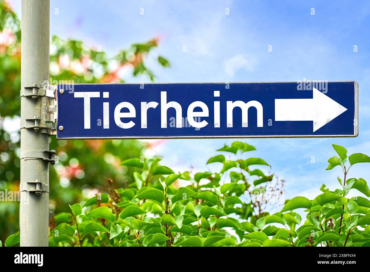 Tierheim beschilderung hi-res stock photography and images - Alamy