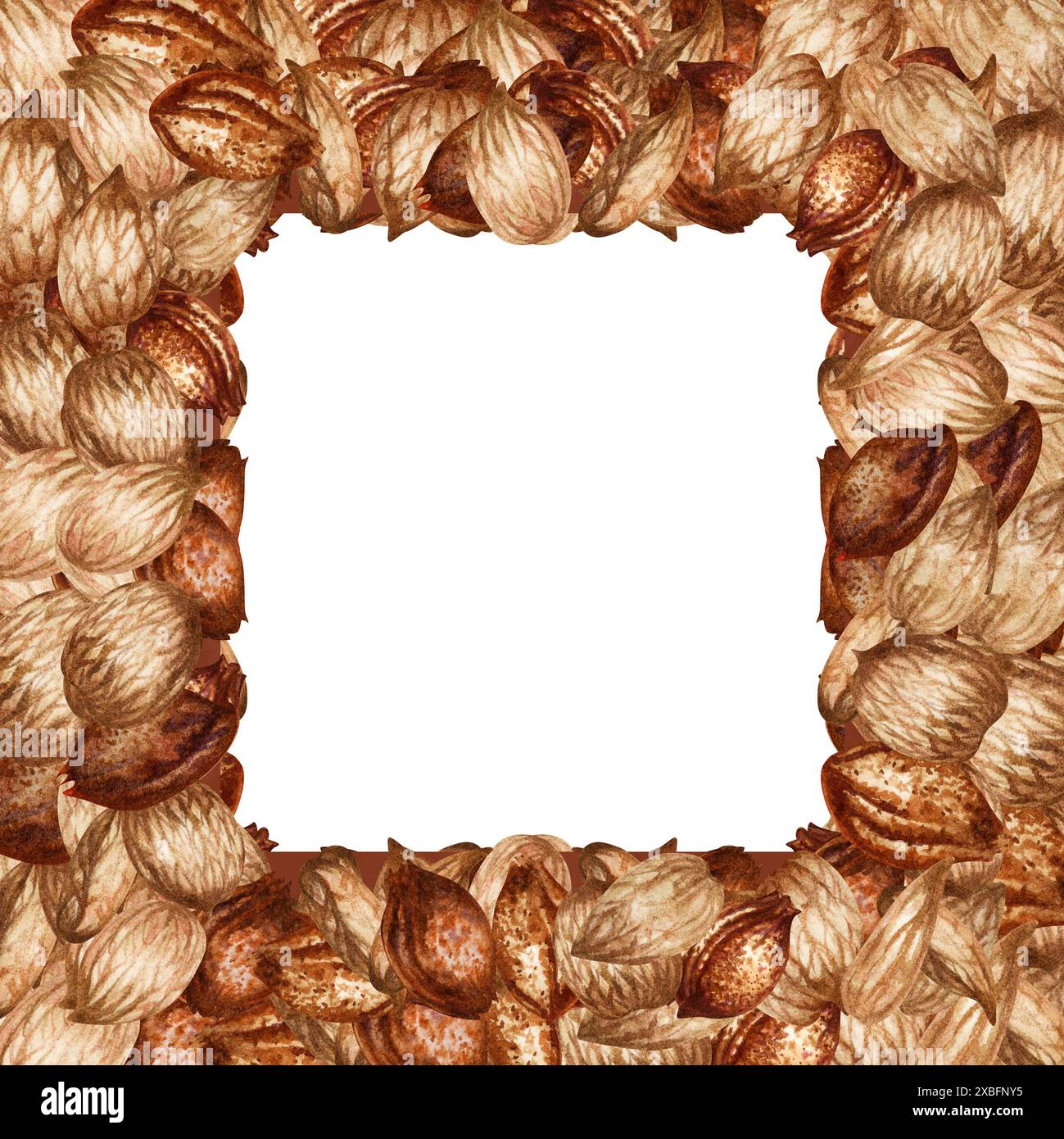 Square frame of apricot kernels and seeds. Watercolor illustration for ...