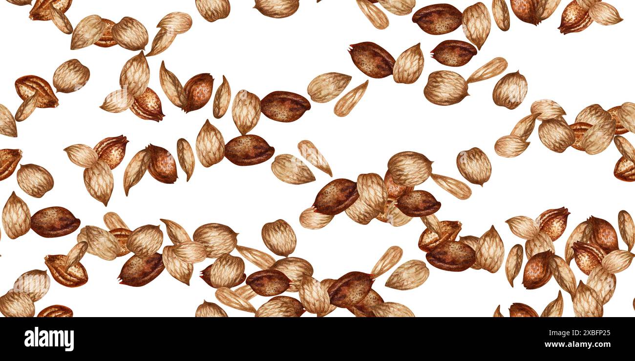 Seamless rectangular pattern of apricot kernels and seeds. Watercolor ...