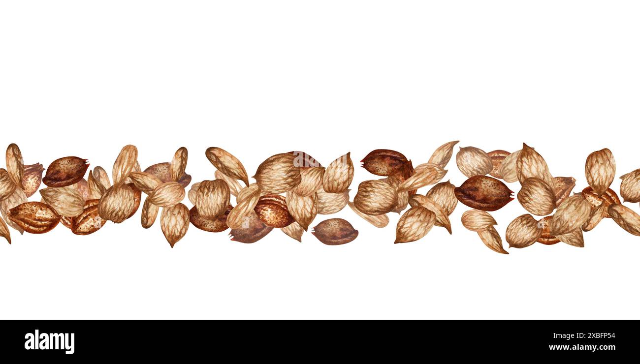 Seamless rectangular pattern of apricot kernels and seeds. Watercolor ...