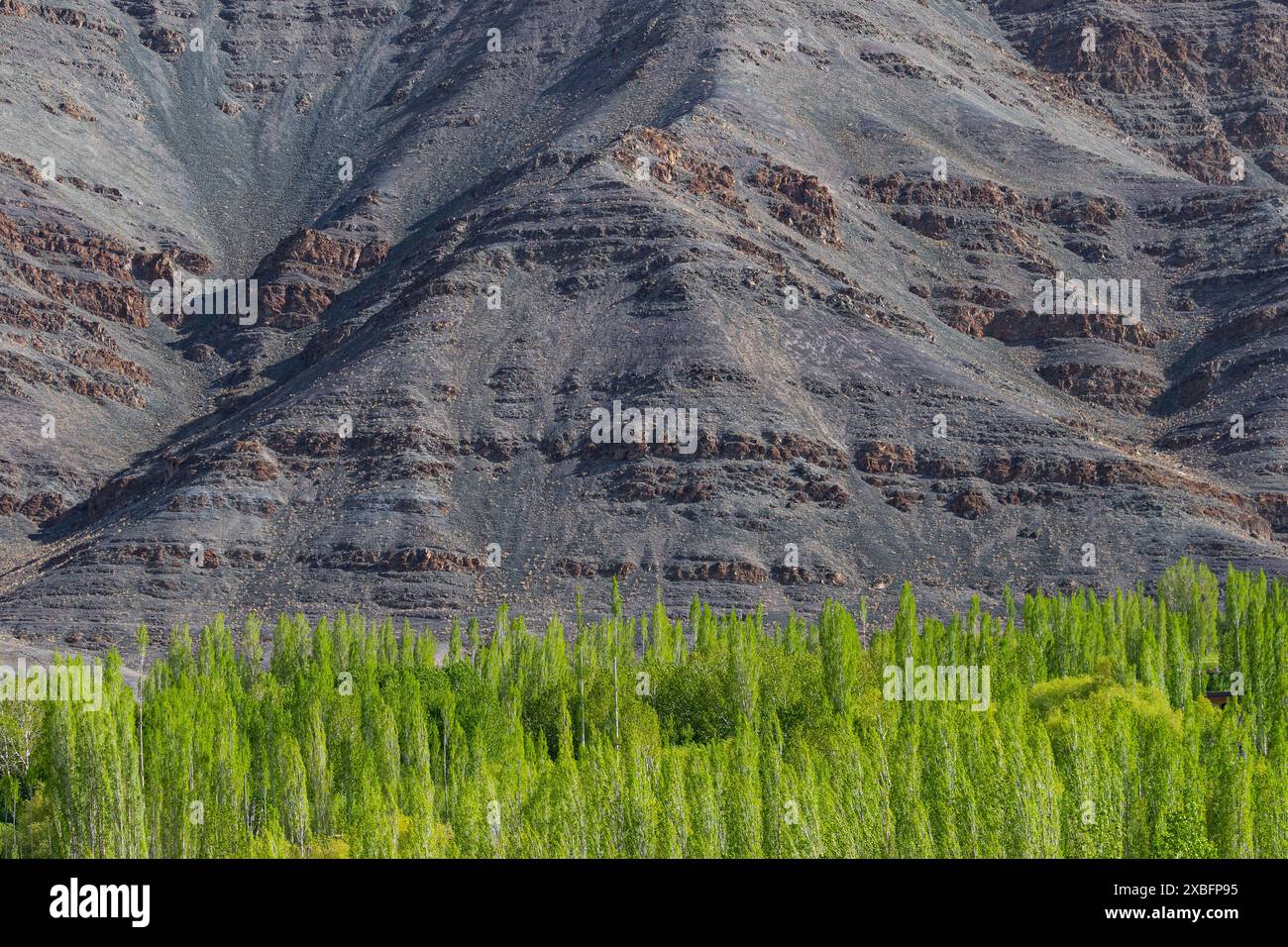 An abstract landscape of barren mountain range and tree line at the ...