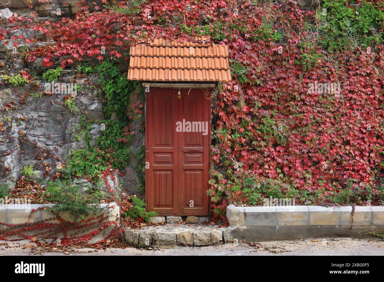 Vines climbing red brick wall hi-res stock photography and images - Alamy