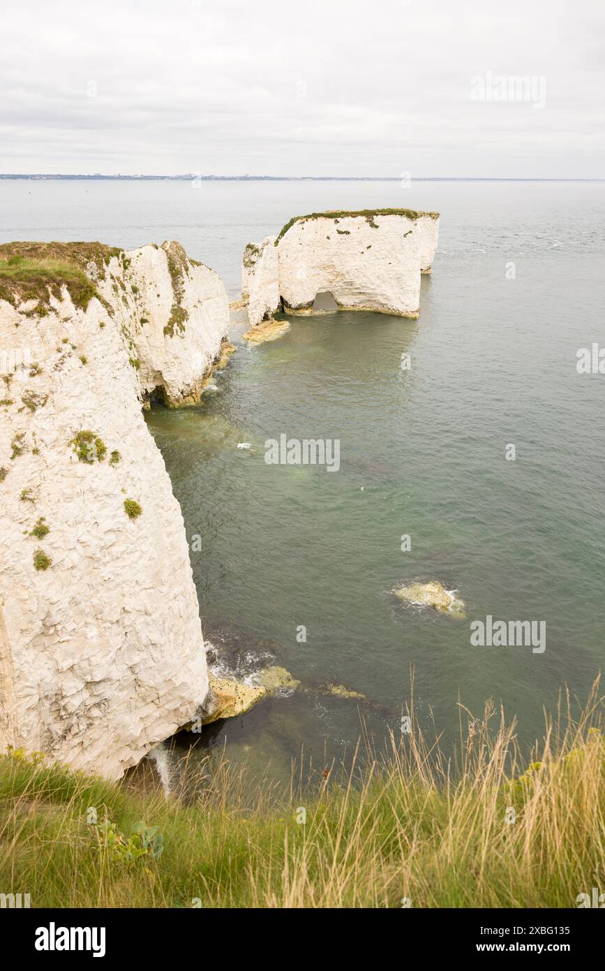 Old Harry Rocks. Chalk cliffs on the Jurassic Coast, UNESCO World ...