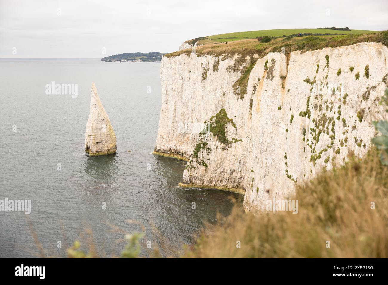 The Pinnacles, Old Harry Rocks. Sea stacks off the Jurassic Coast ...