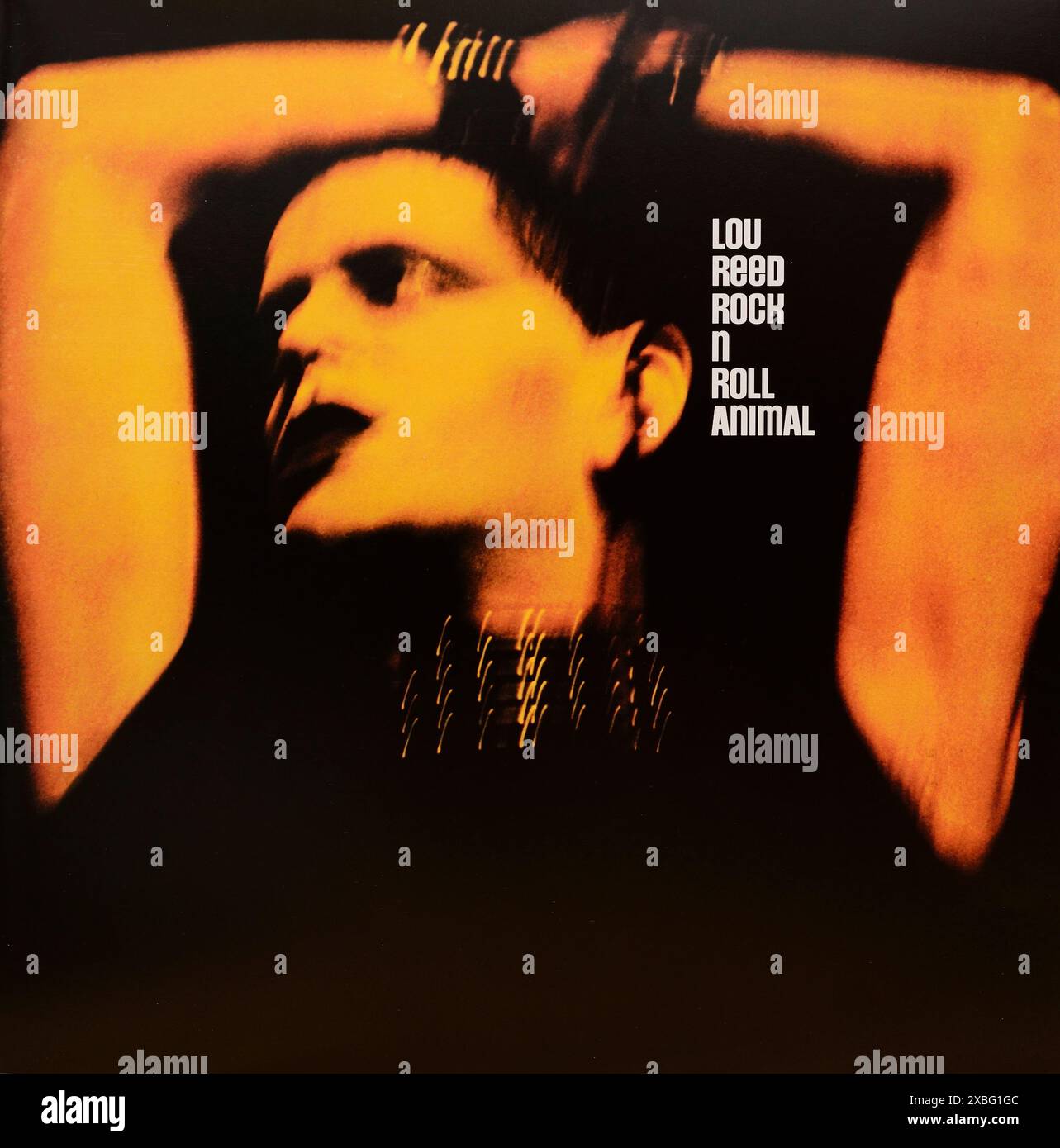 Vintage vinyl record cover. Lou Reed-Rockn Roll Animal 1974 Stock Photo - Alamy