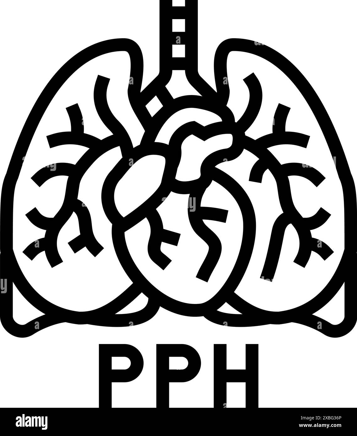 primary pulmonary hypertension line icon vector illustration Stock ...