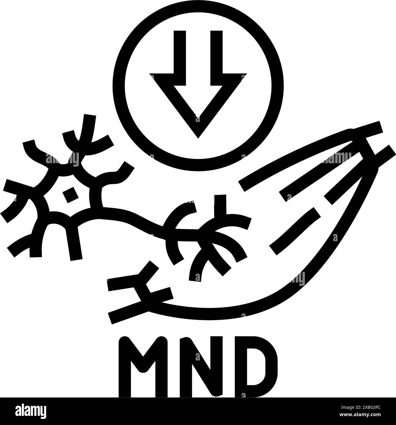 motor neuron diseases line icon vector illustration Stock Vector Image ...