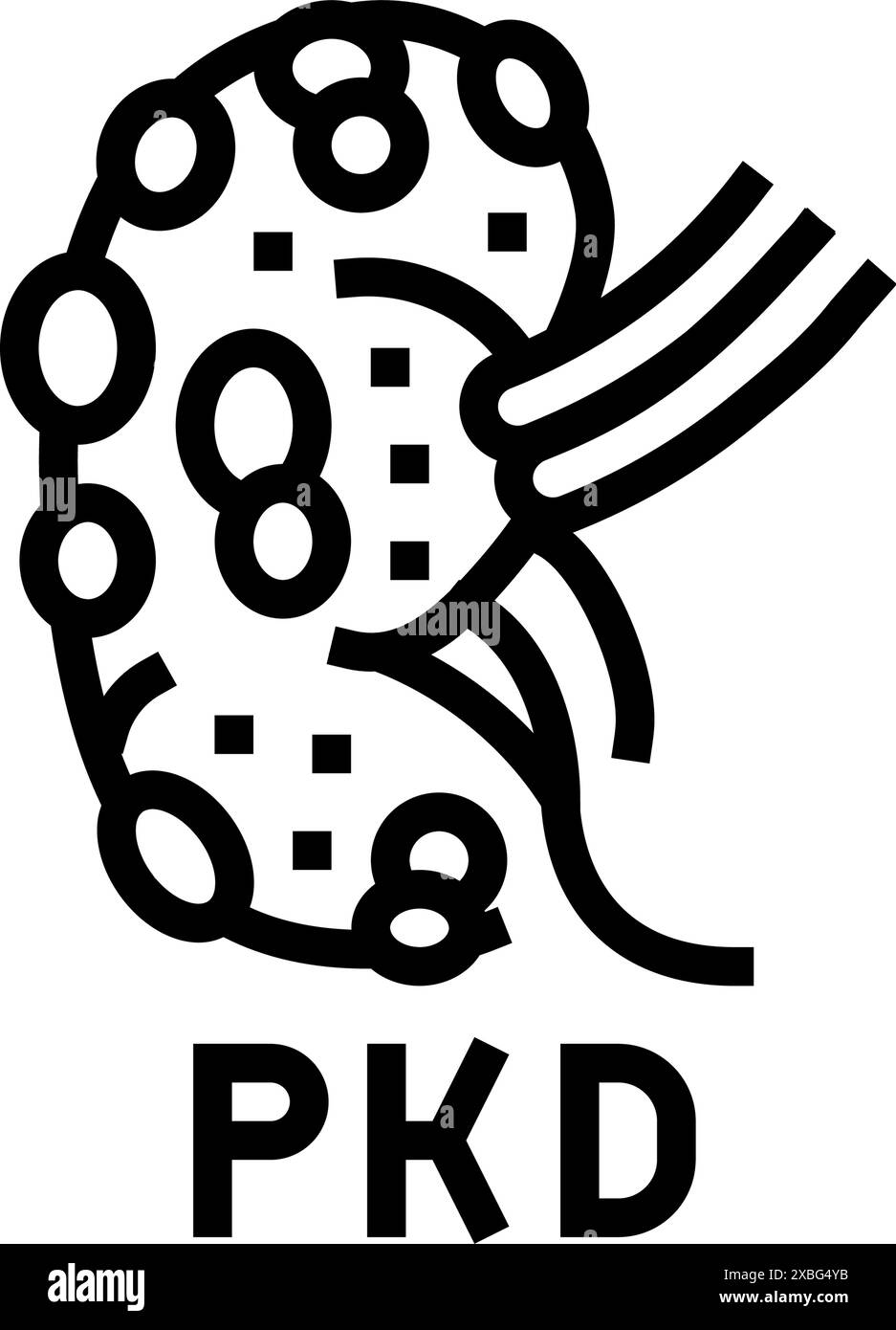 polycystic kidney disease line icon vector illustration Stock Vector ...