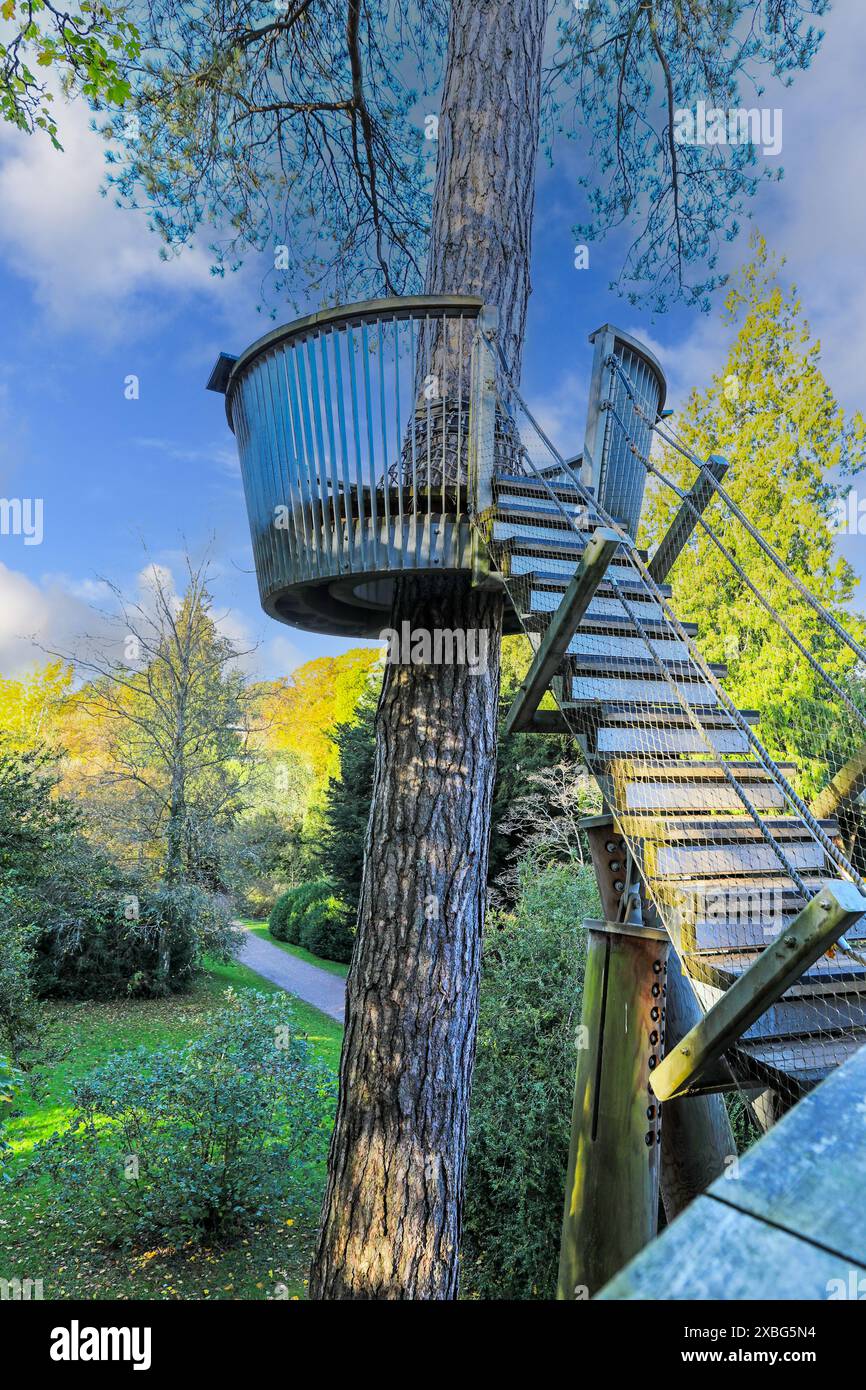 An observation platform on the Stihl Treetop Walkway at the Westonbirt ...