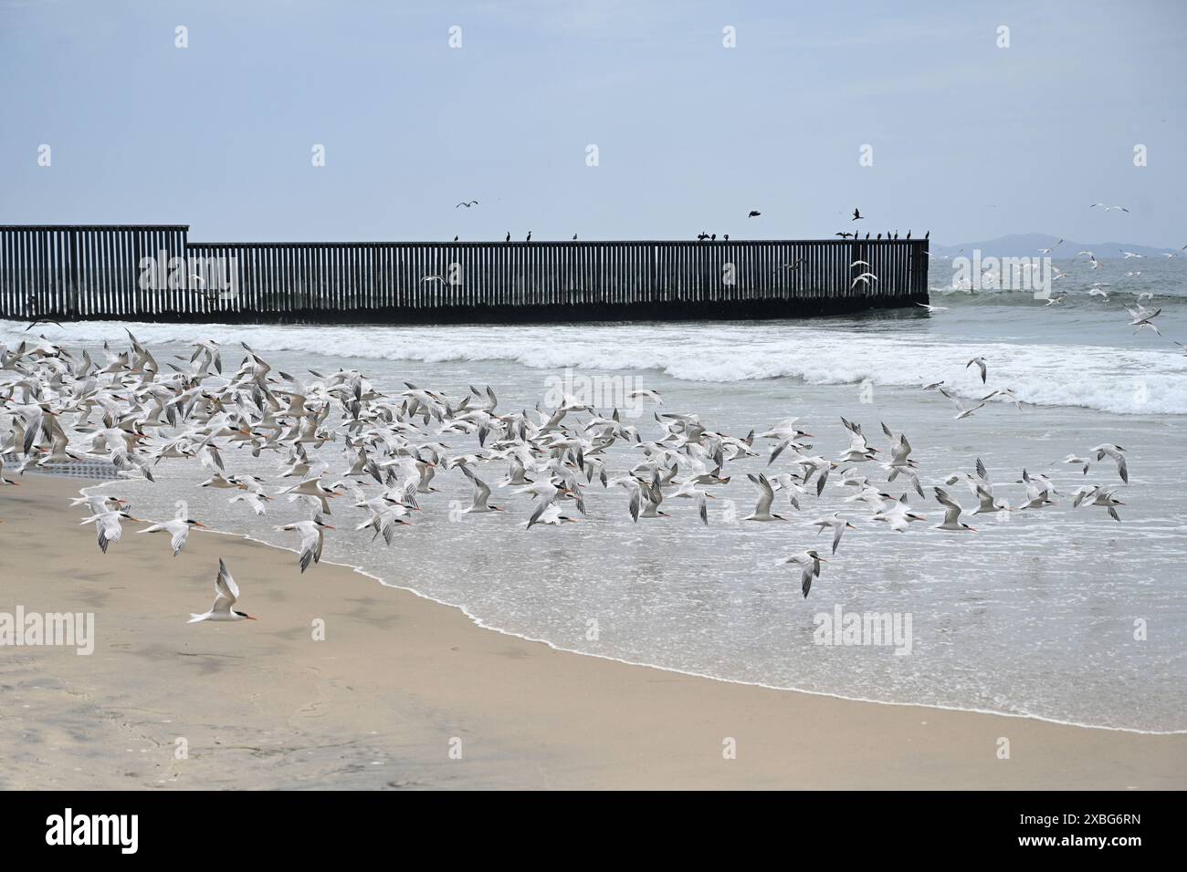 A fence on the United States - Mexico border where it meets the Pacific ...