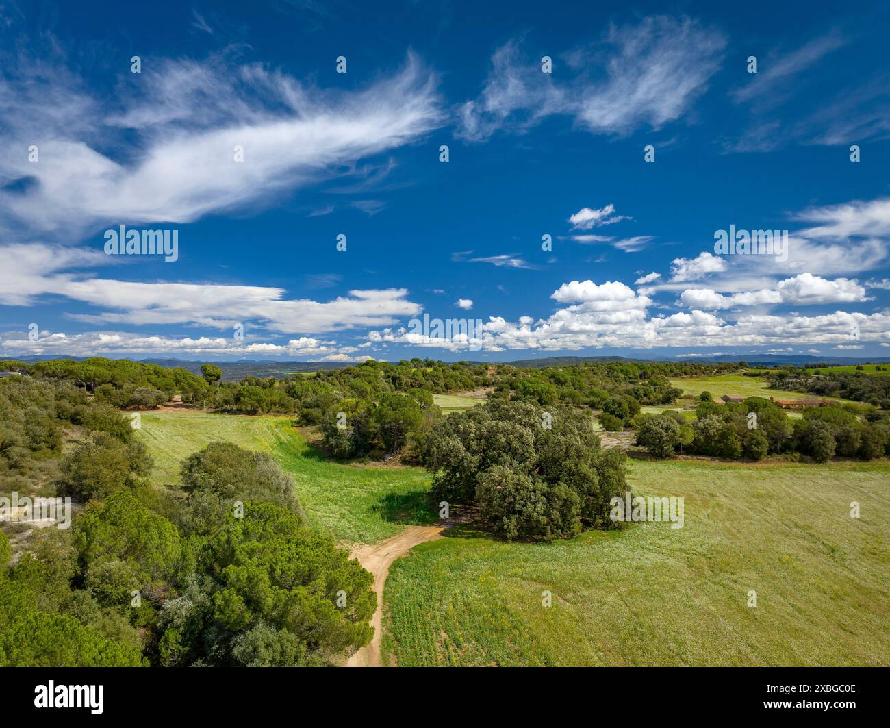 árbol cielo paisaje hi-res stock photography and images - Alamy
