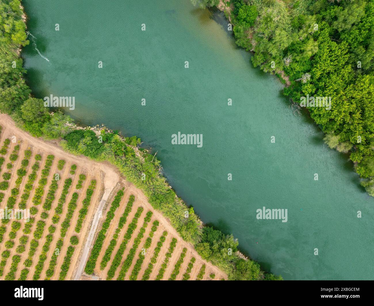 Fiume e campo hi-res stock photography and images - Alamy