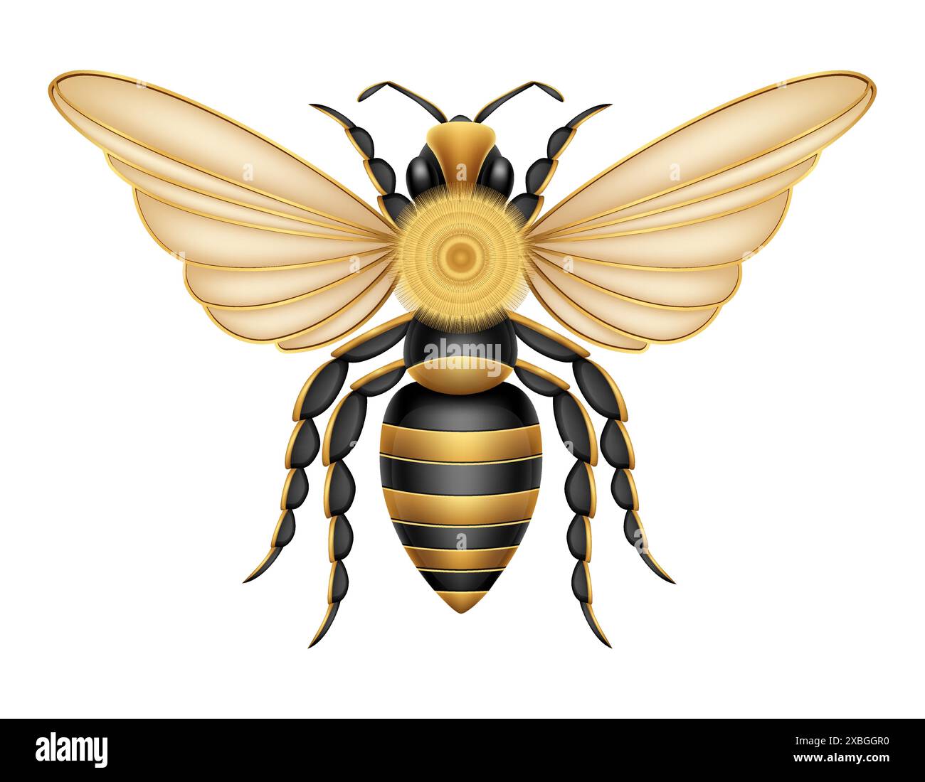 bee insects wildlife animals vector illustration isolated on white ...
