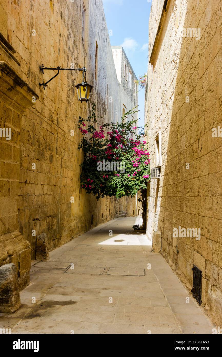 Narrow sidewalk hi-res stock photography and images - Alamy
