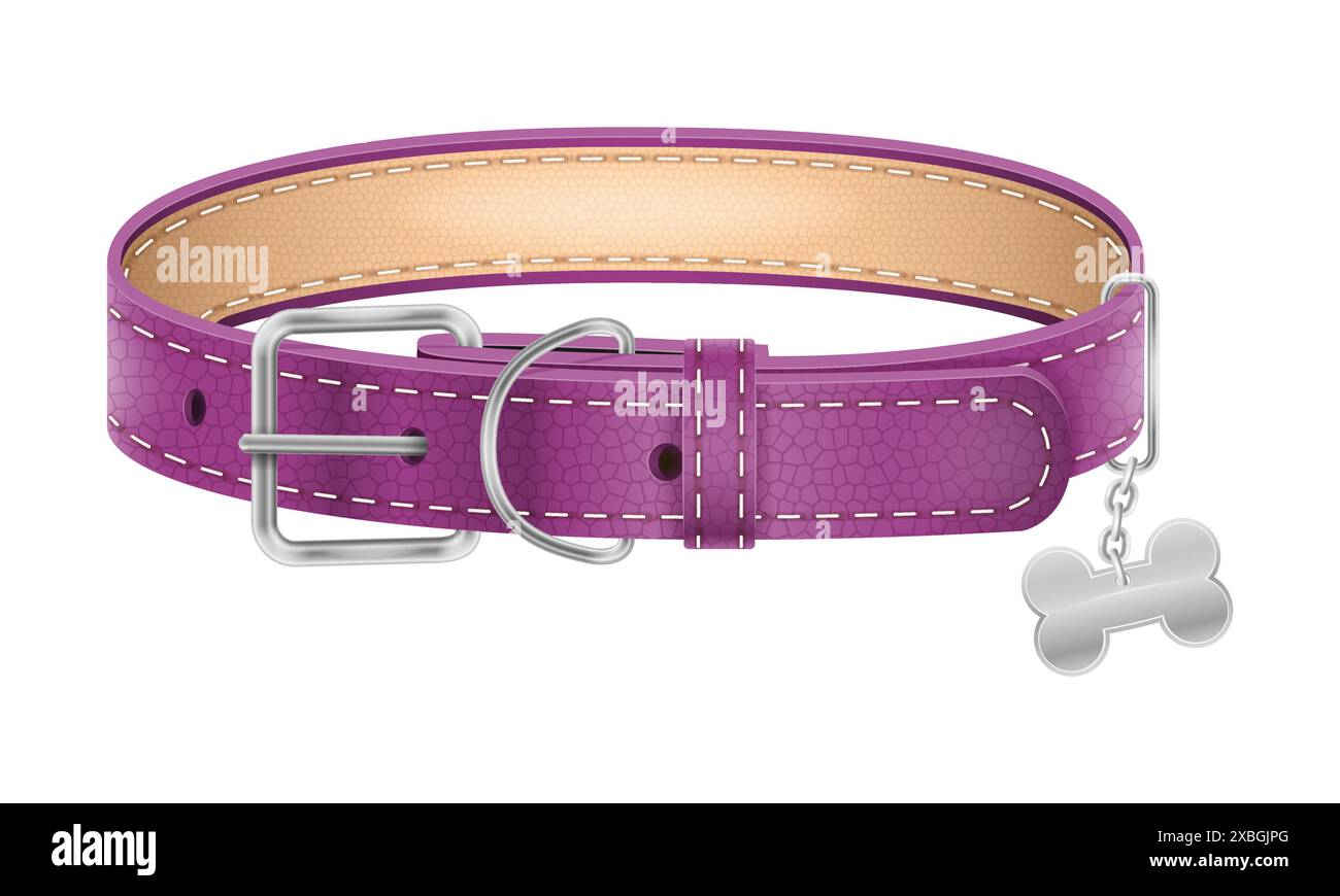 dog leather collar vector illustration isolated on white background ...