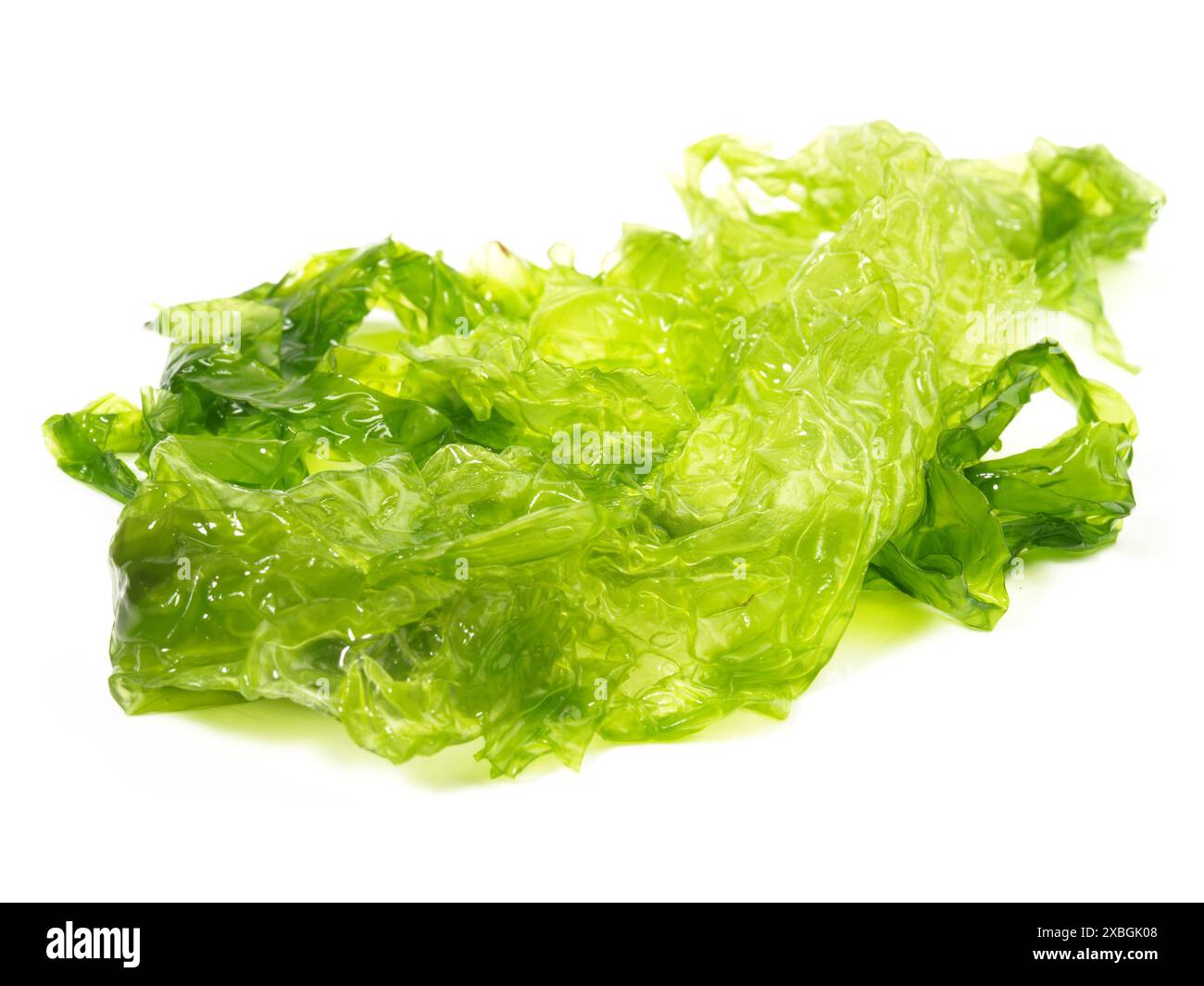 Fresh Green Algae on white Background Stock Photo - Alamy
