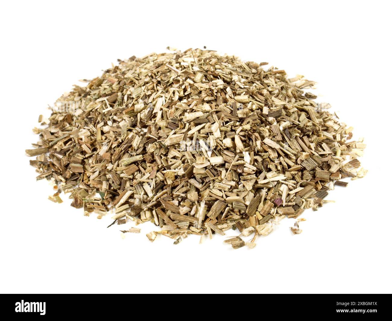 Dried Common Chicory - A woody, perennial herbaceous plant. Leaves as ...