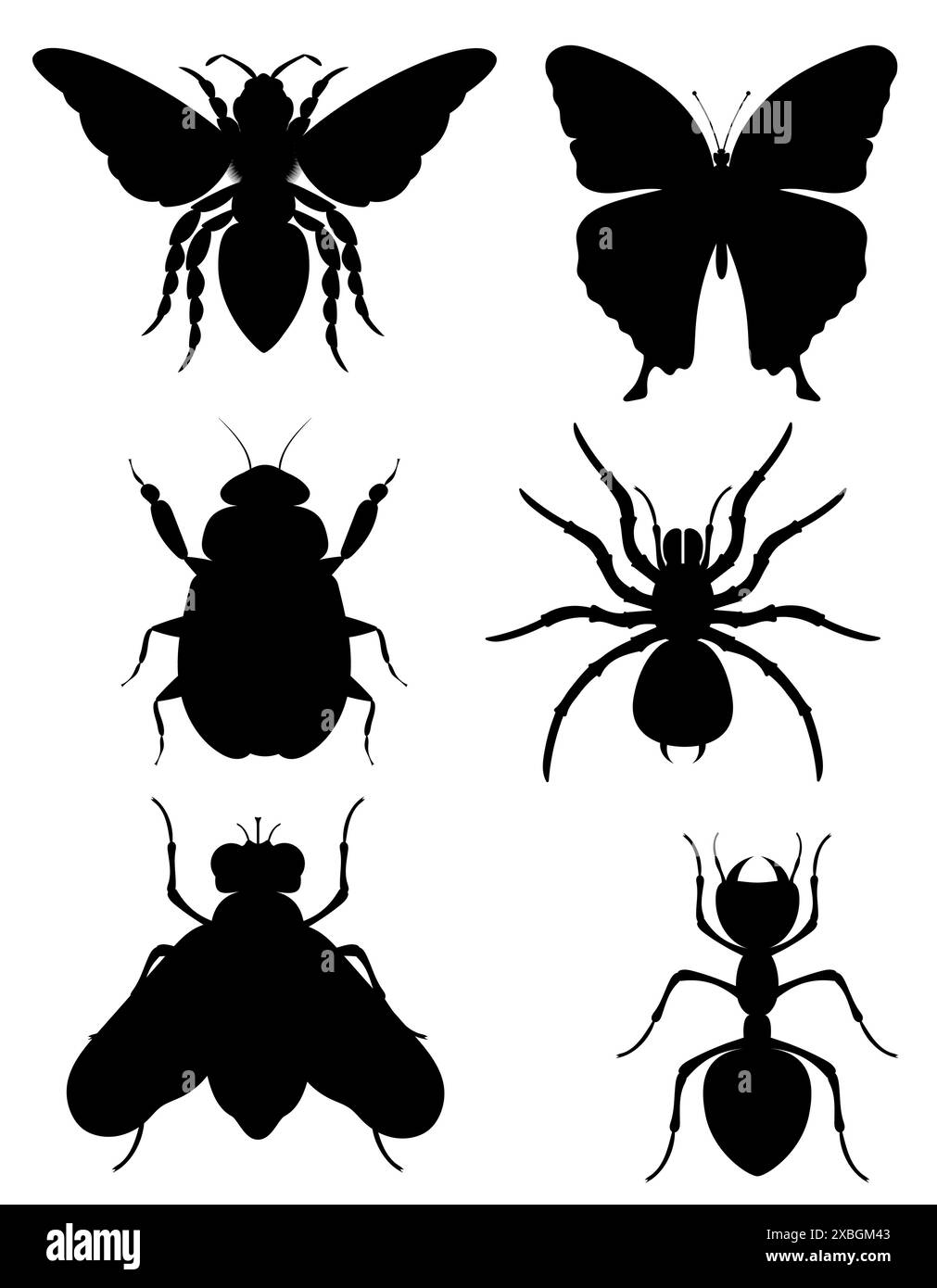 set insects wildlife animals vector illustration isolated on white ...