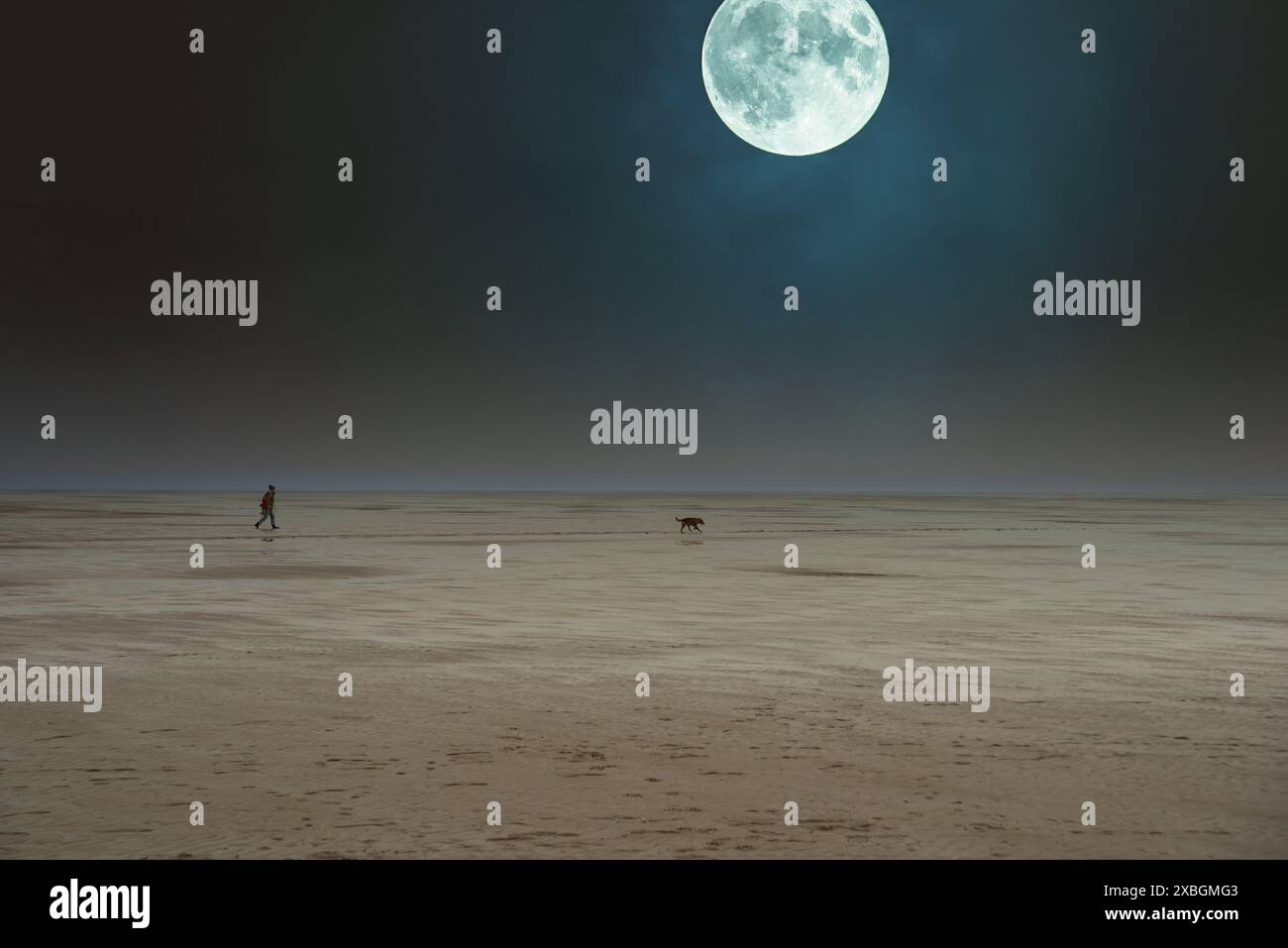 Peter moon hi-res stock photography and images - Alamy