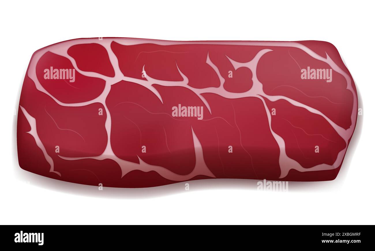 raw piece of meat cut into steaks vector illustration isolated on white ...