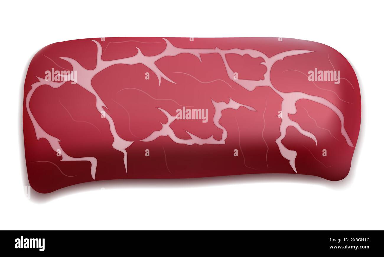 raw piece of meat cut into steaks vector illustration isolated on white ...