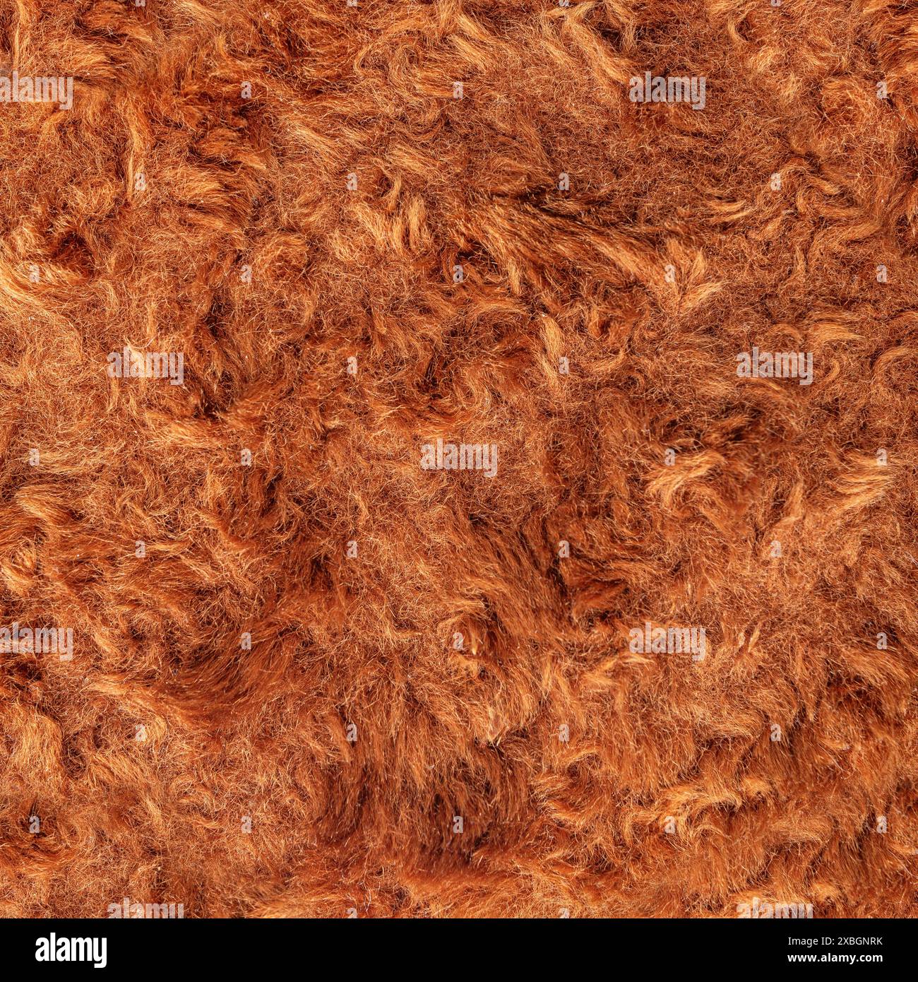 Bear fur texture as an background Stock Photo - Alamy
