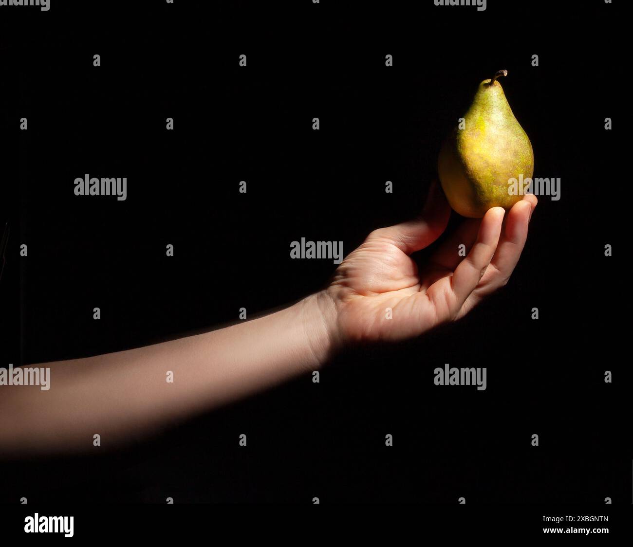 Hand holding pear hi-res stock photography and images - Alamy