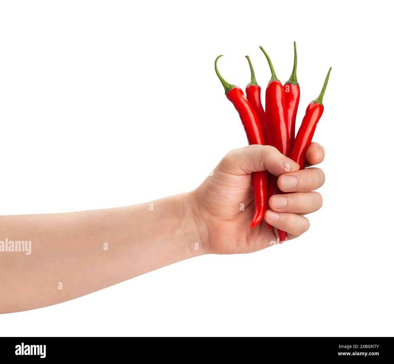 long chili pepper in hand path isolated on white Stock Photo - Alamy