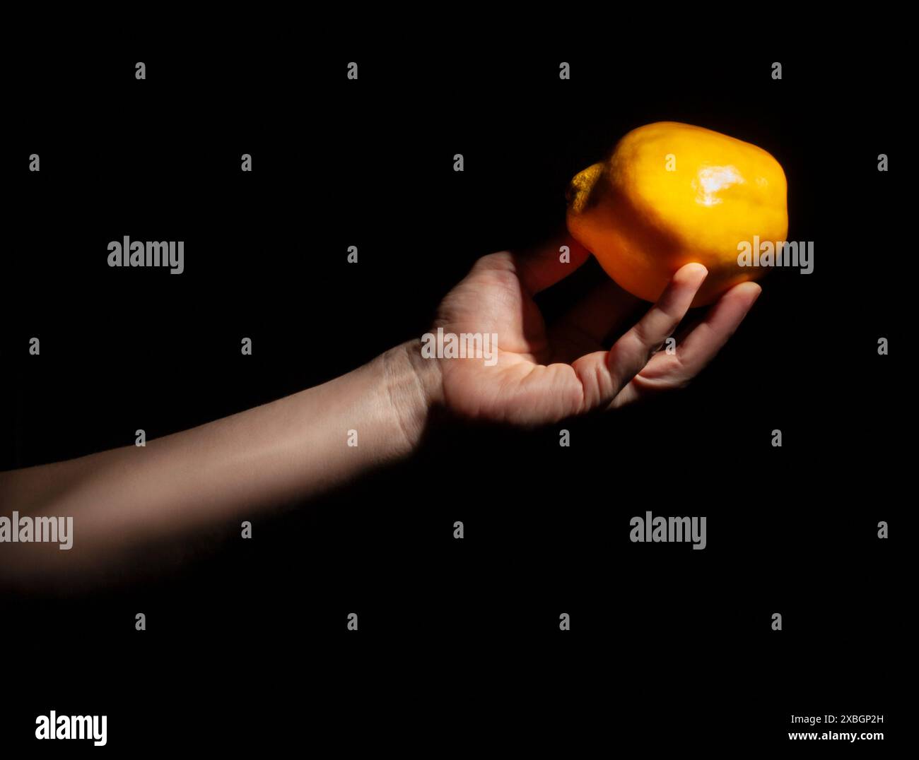 Closeup quince in hand hi-res stock photography and images - Alamy