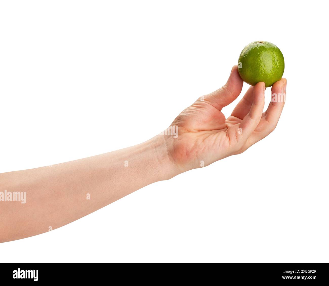Hand holding fruit hi-res stock photography and images - Alamy
