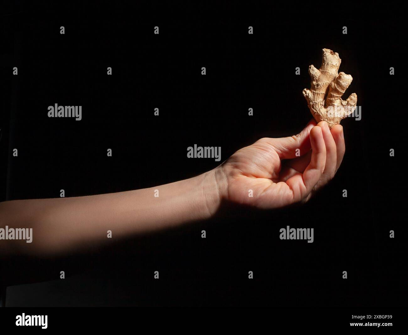 Ginger and black hi-res stock photography and images - Alamy