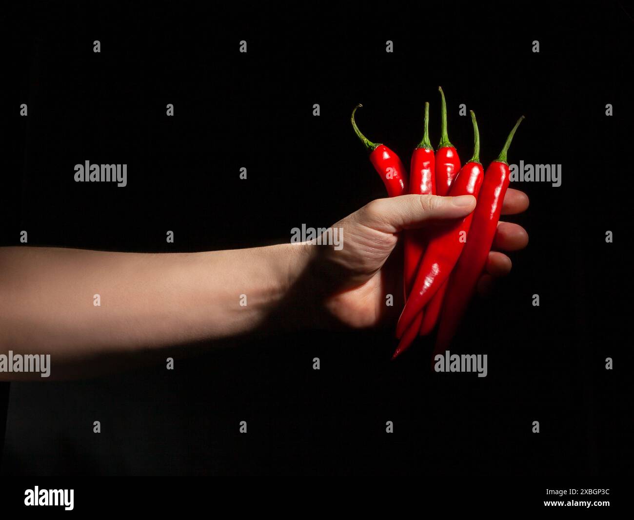 long chili pepper in hand on black background Stock Photo - Alamy
